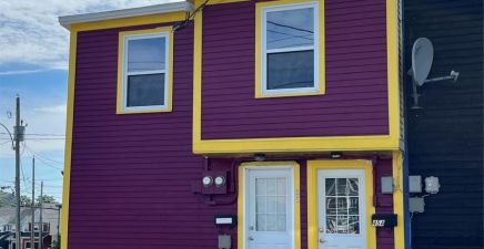 45 Mullock Street, St. John`s, Property Listing: MLS™ 1274413